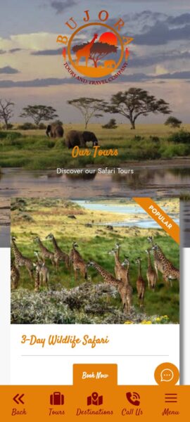 Bujora Tours and Travel - Work by Design What's Next